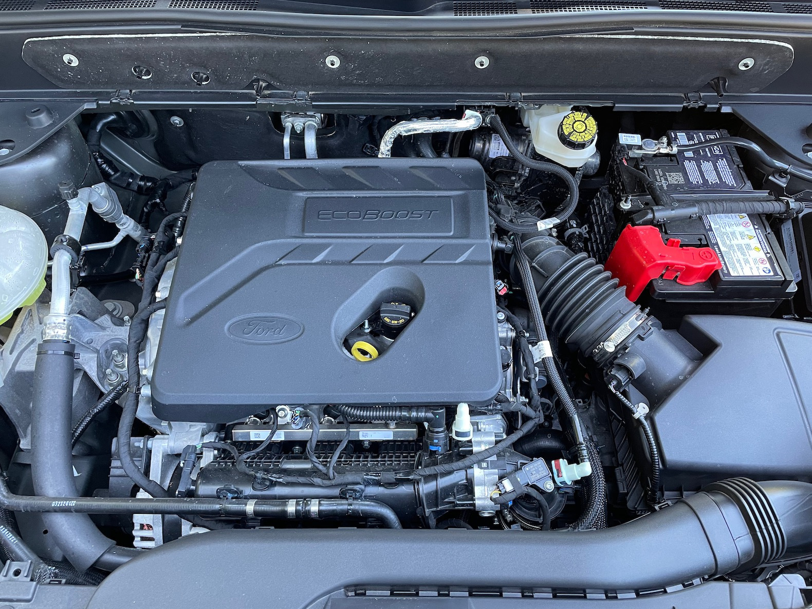 2021 Ford Bronco Sport Review: The Only Bronco You Need - The Torque Report