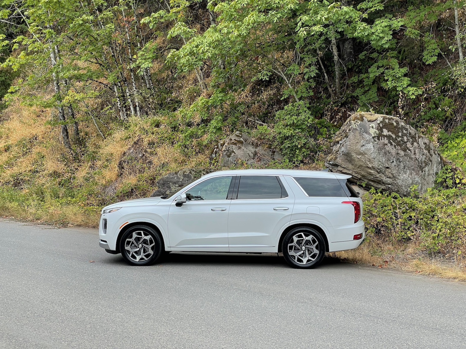 2021 Hyundai Palisade Review: Big and bold never looked so good - The ...