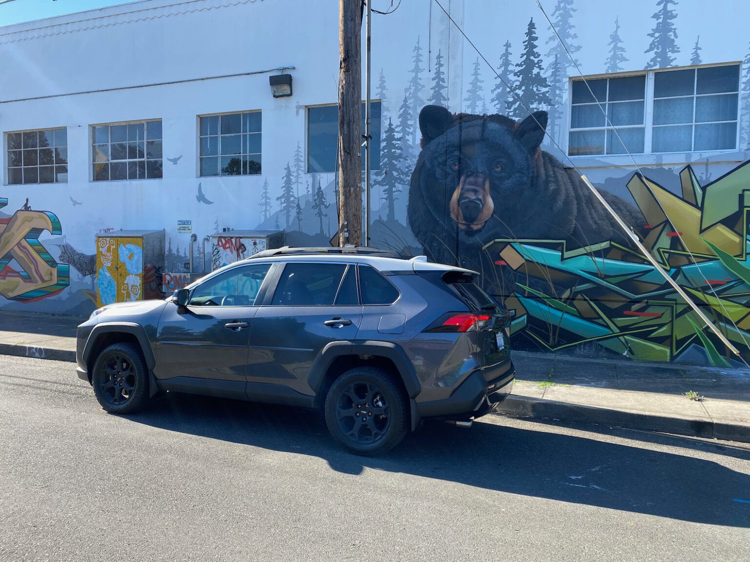 2020 Toyota RAV4 TRD Off-Road Review: Taking the RAV4 off the beaten ...